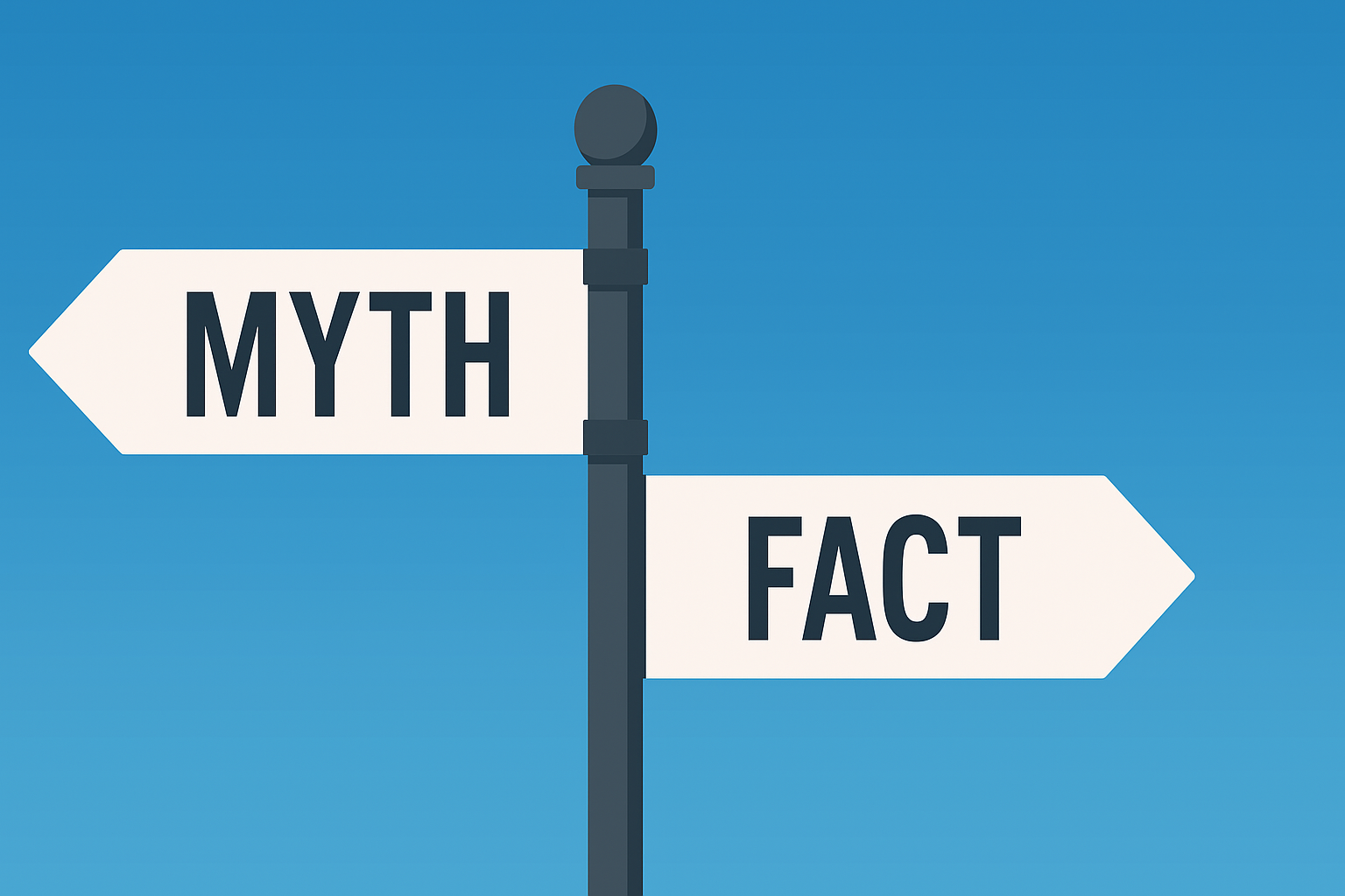 Top 10 Bed Bug Myths Debunked: What Every Toronto Homeowner Should Know ...